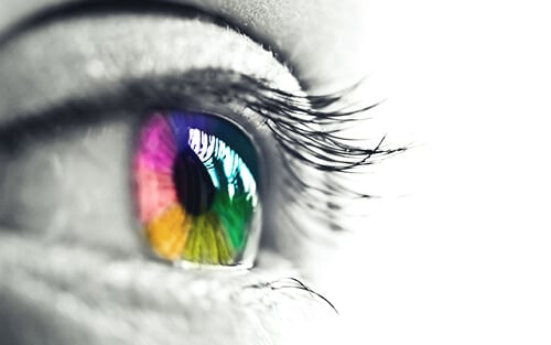 How to Design for Color Blindness | Website UI | Rand Group